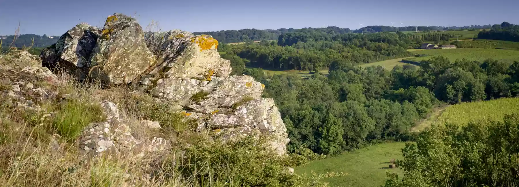 Coteaux du Pont-Barré - Nature (49)
