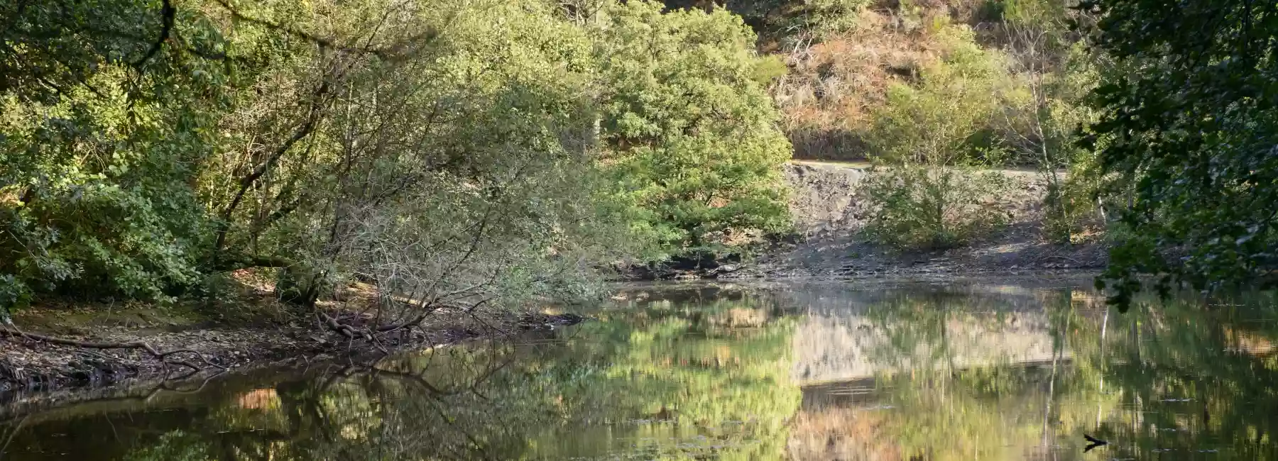 Site minier du vallon de Misengrain - Nature (49)